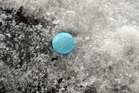 Bluechew Adventures: Full Review, Unboxing, and What to Watch Out For